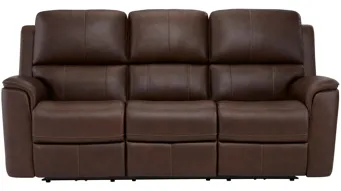 brown colour sofa sets