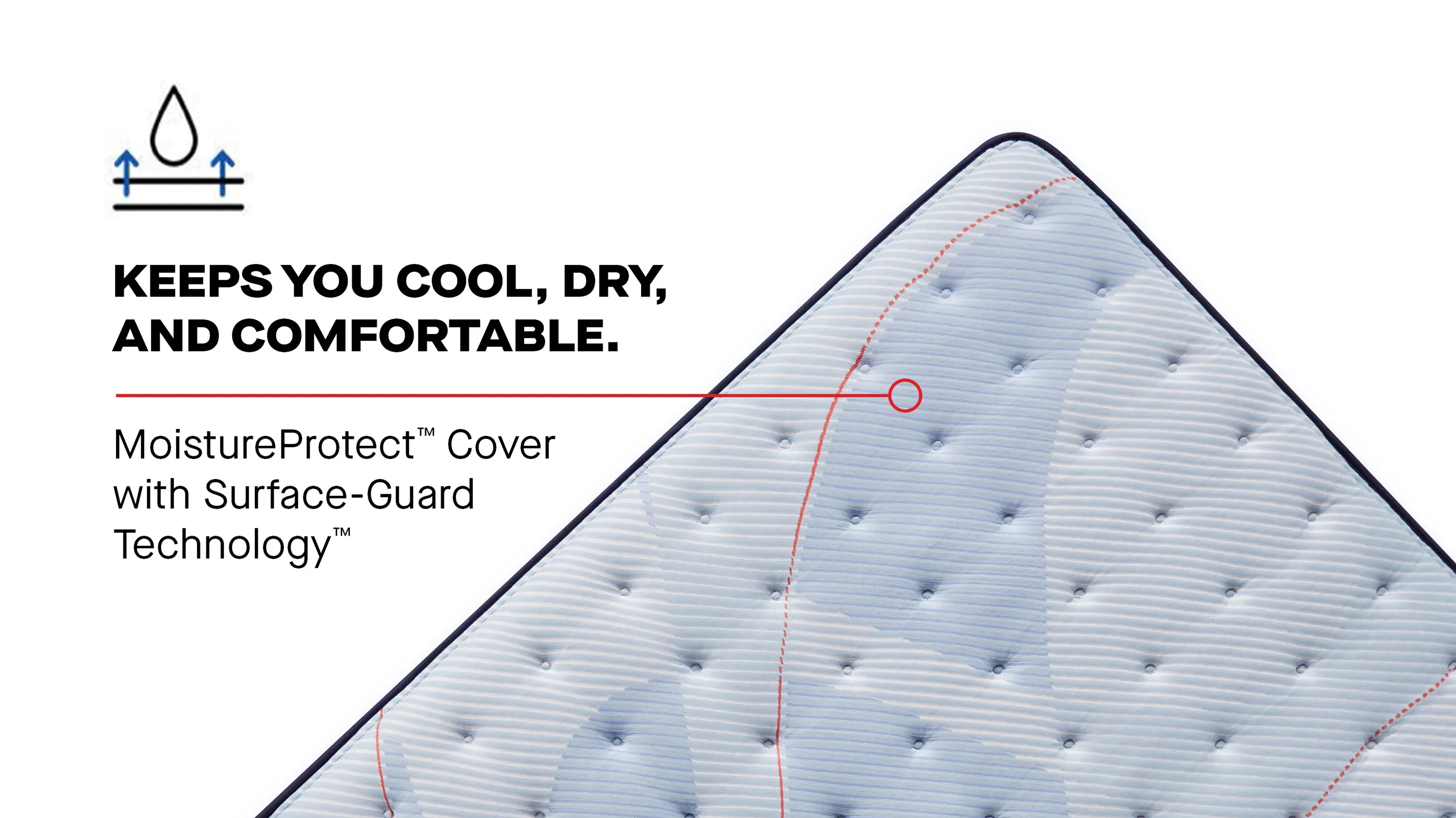 sealy cunarder elevation