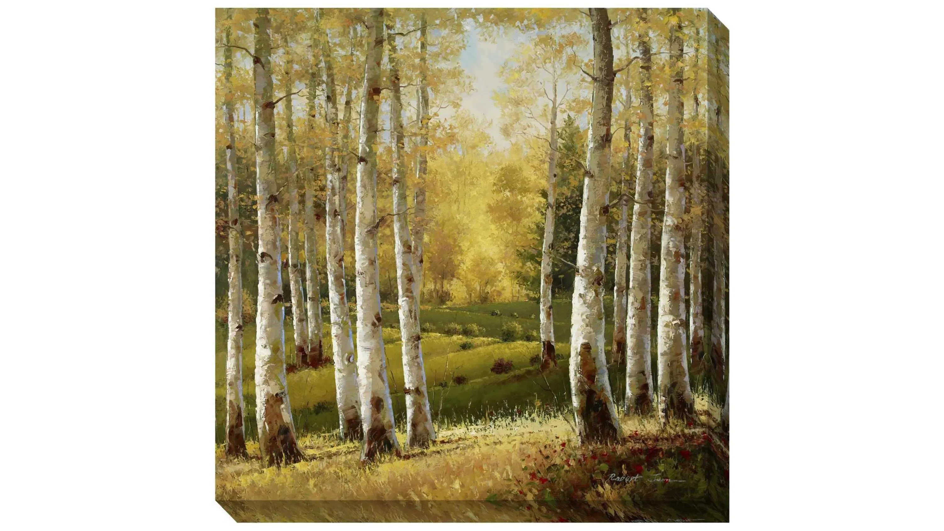 birch trees canvas