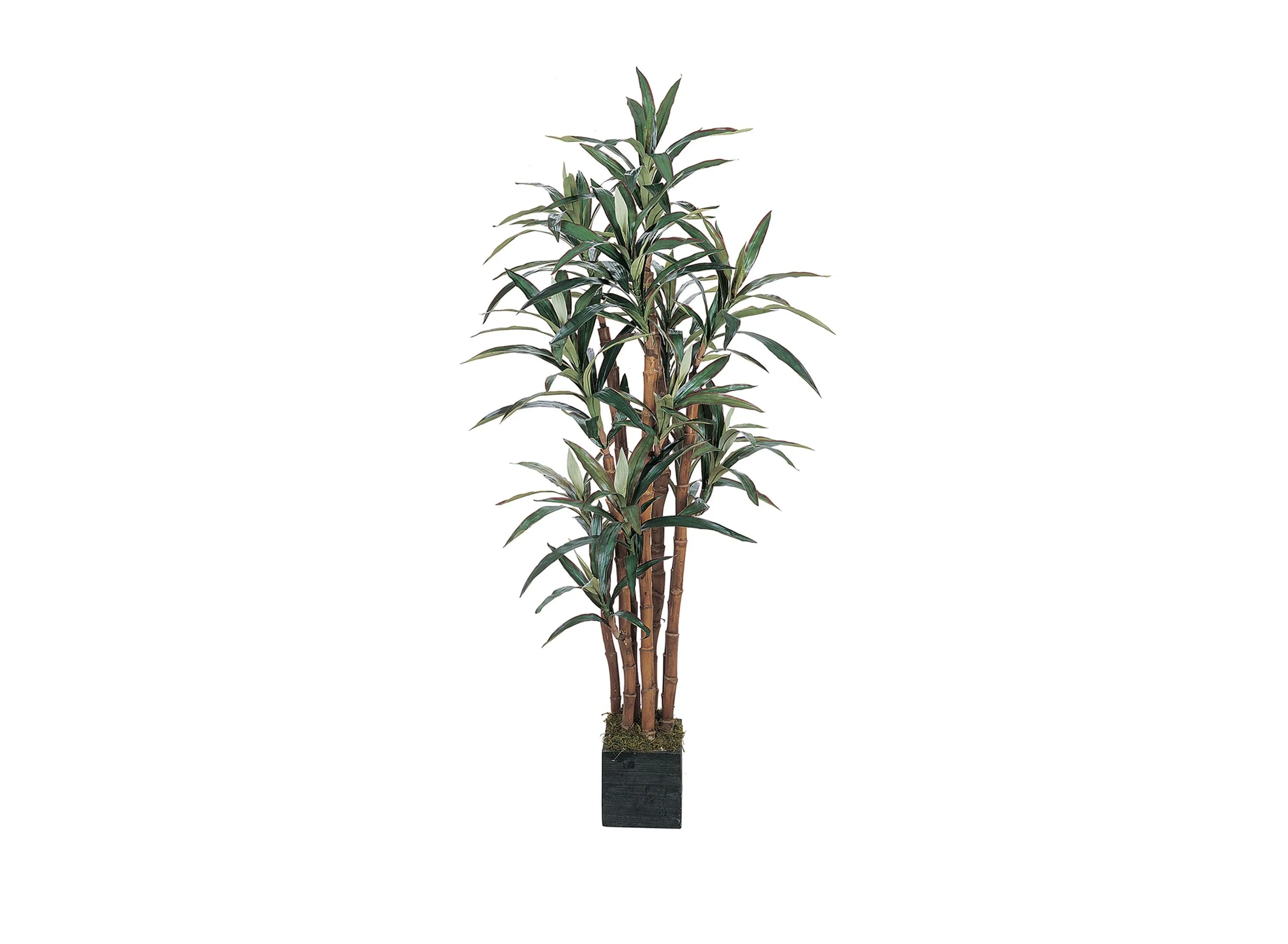 5ft. Yucca Silk Tree | Raymour & Flanigan | Raymour & Flanigan