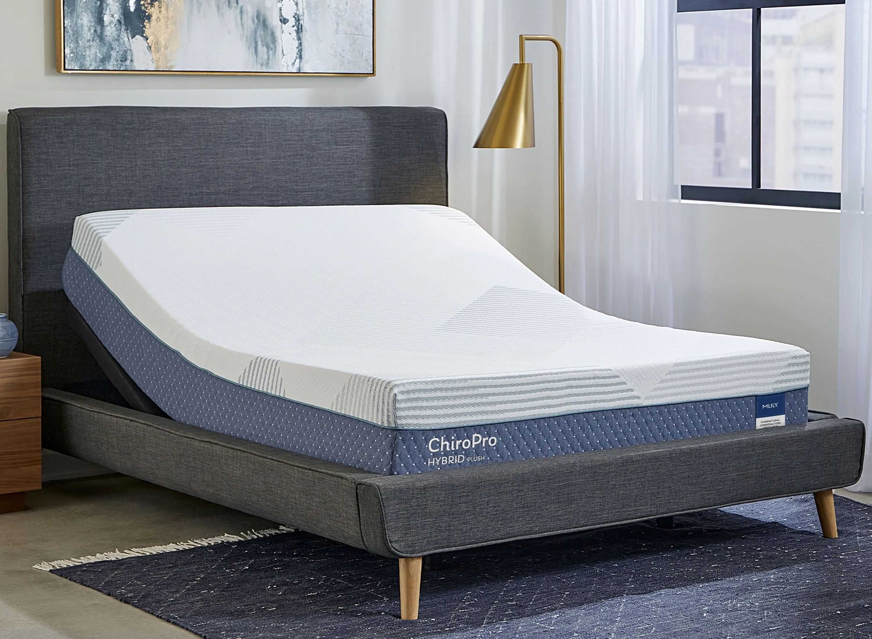 Chiro Pro Plush 13 Inch Hybrid Mattress | Raymour & Flanigan