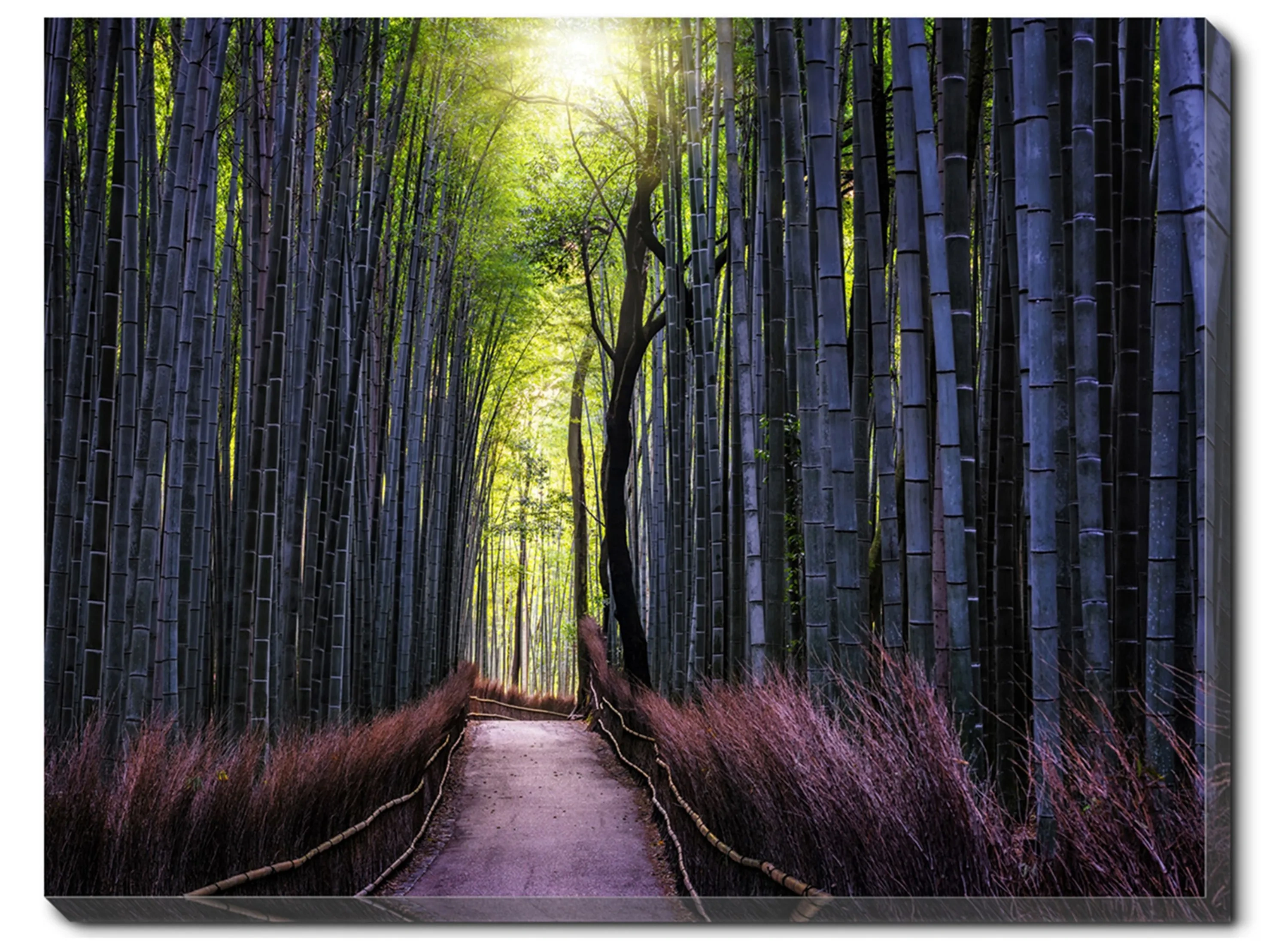 Radiant Path Wall Art | Raymour & Flanigan