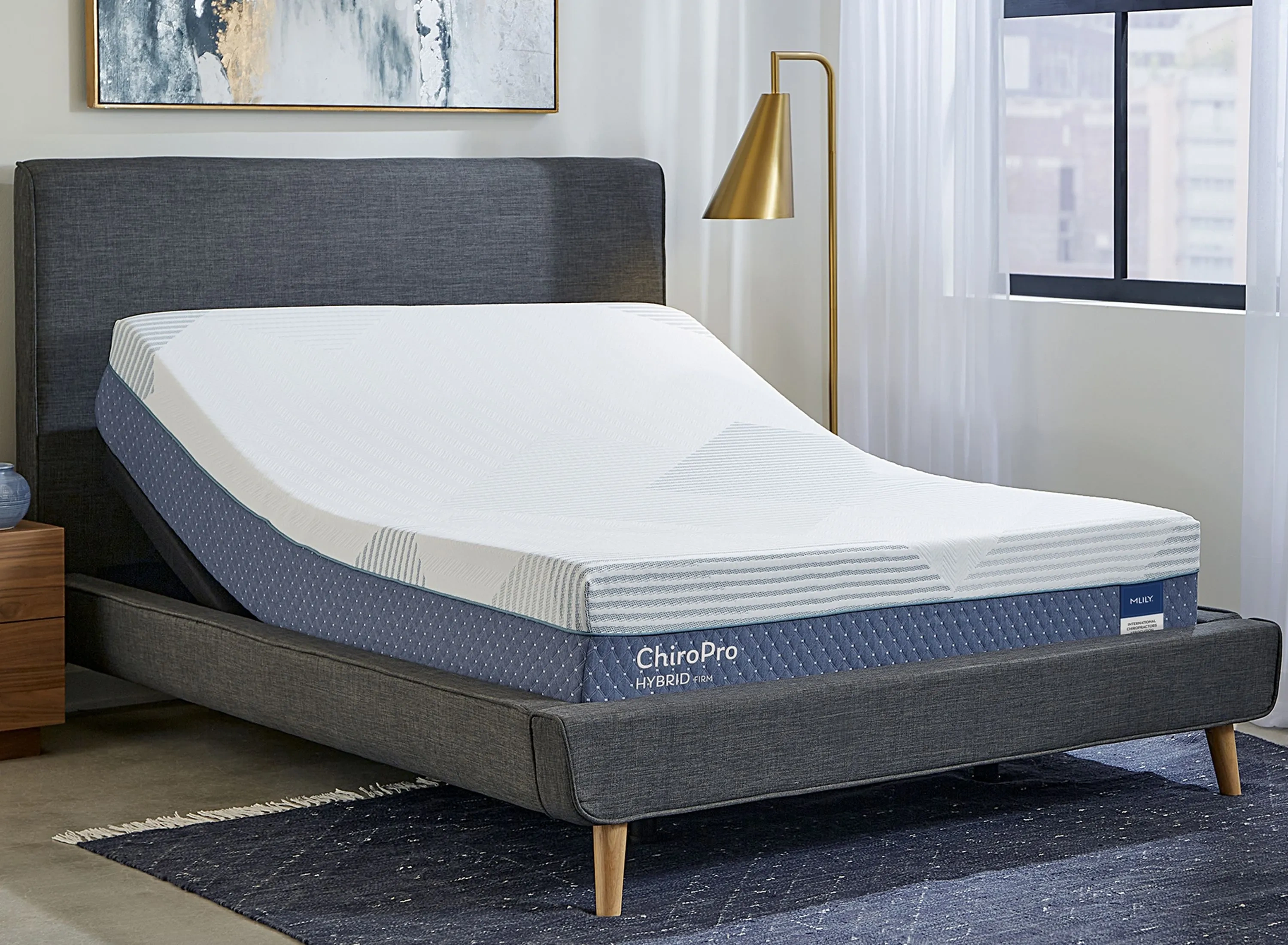 Chiro Pro Firm 13 Inch Hybrid Mattress | Raymour & Flanigan
