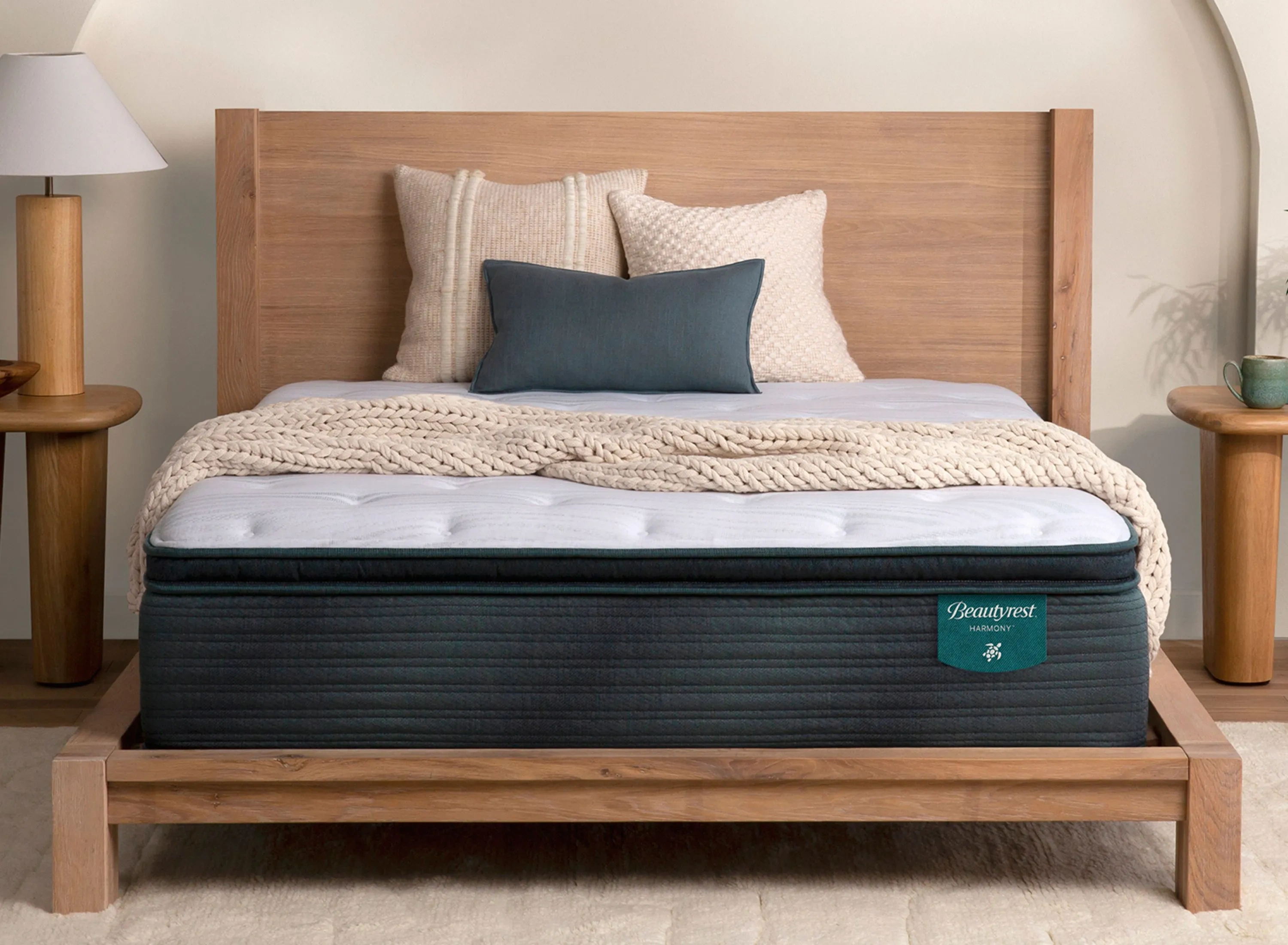 Sealy harmony mattress store