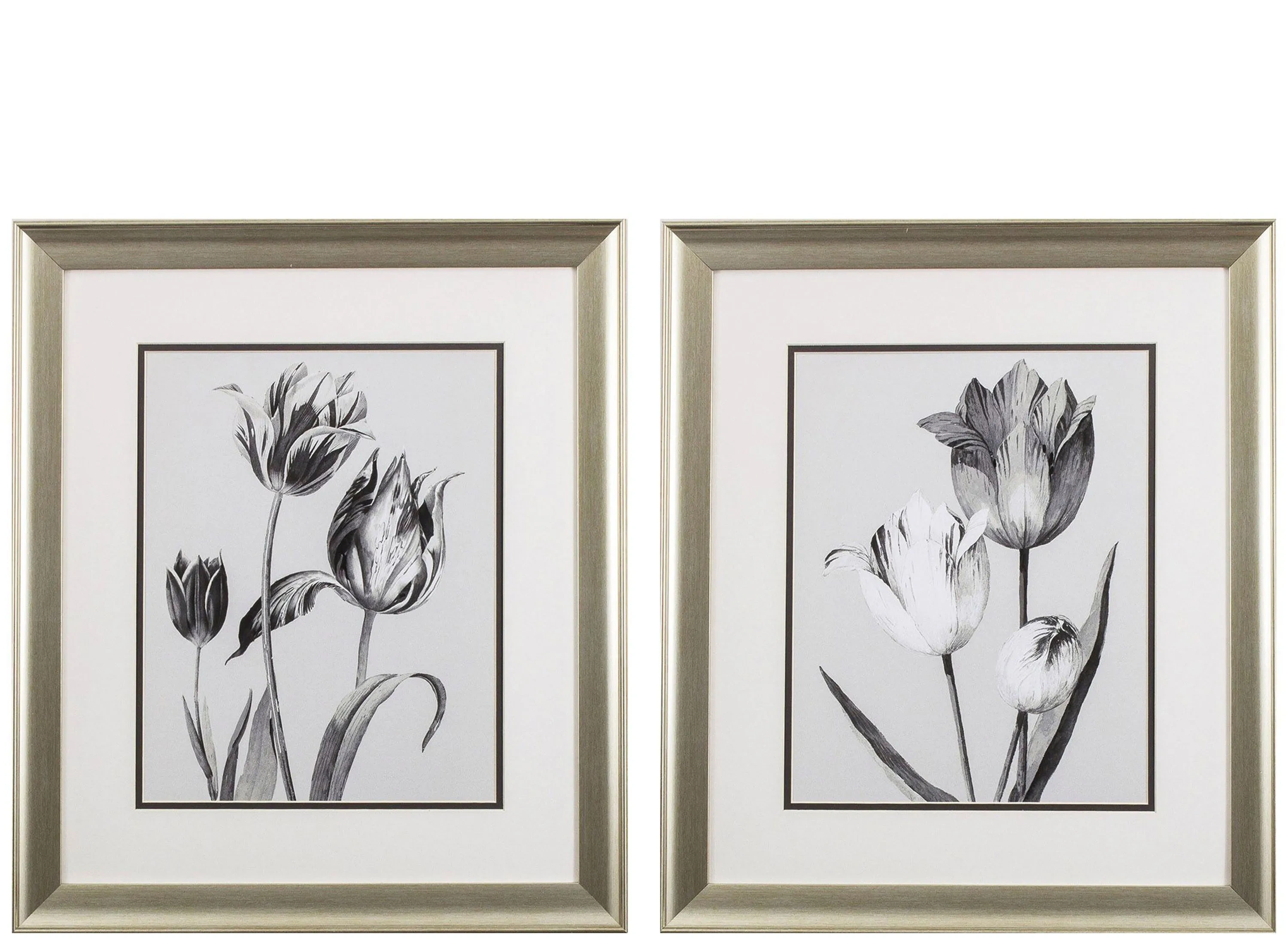 Tulip Service Wall Art | Raymour & Flanigan