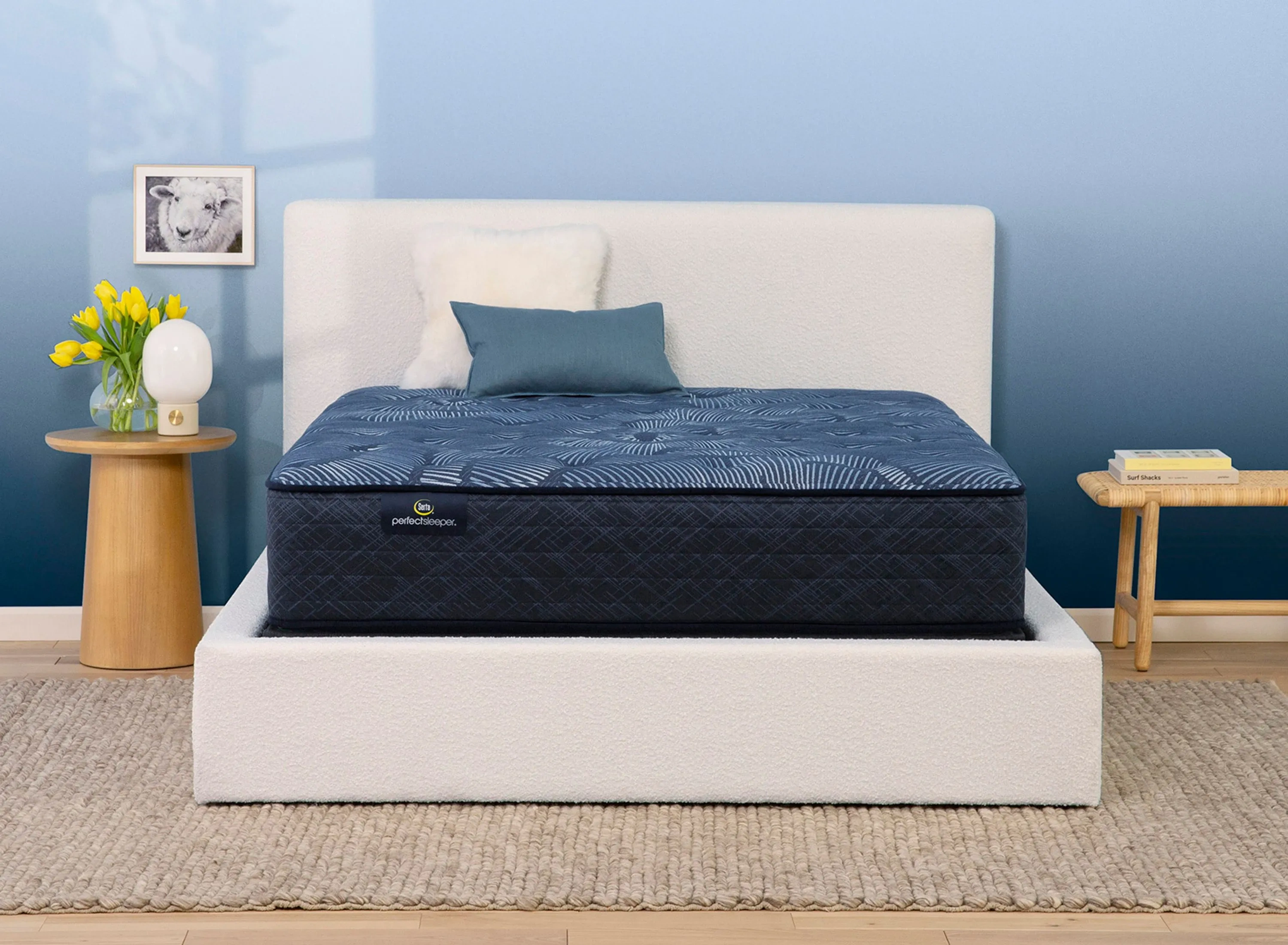 Serta Perfect Sleeper Cobalt Calm Plush Mattress | Raymour & Flanigan